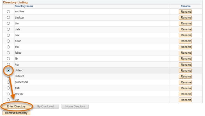 Use the Peoplesoft File Transfer Protocol (FTP) Utility | IT@Cornell